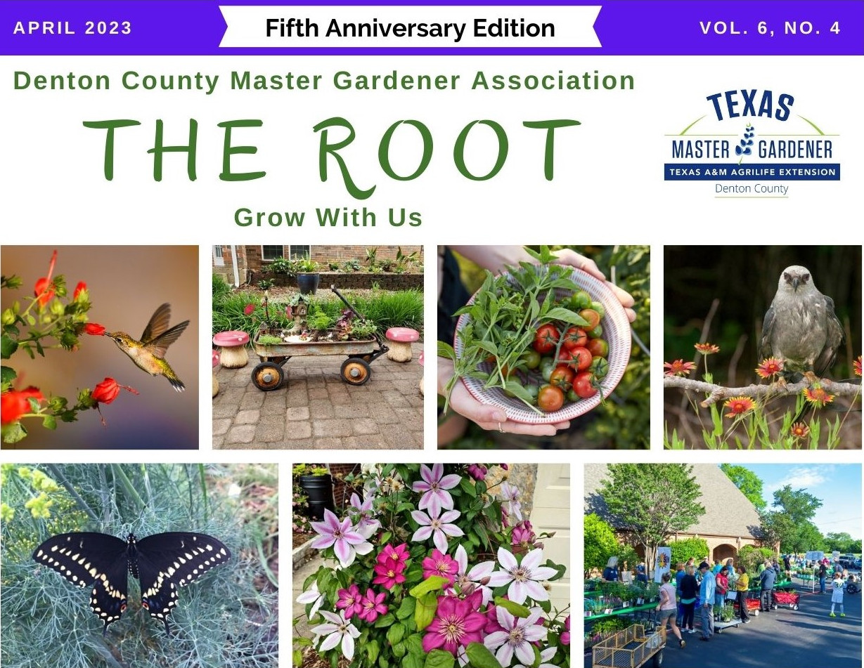 The Root, Digital Monthly Gardening Magazine - Denton County Master ...
