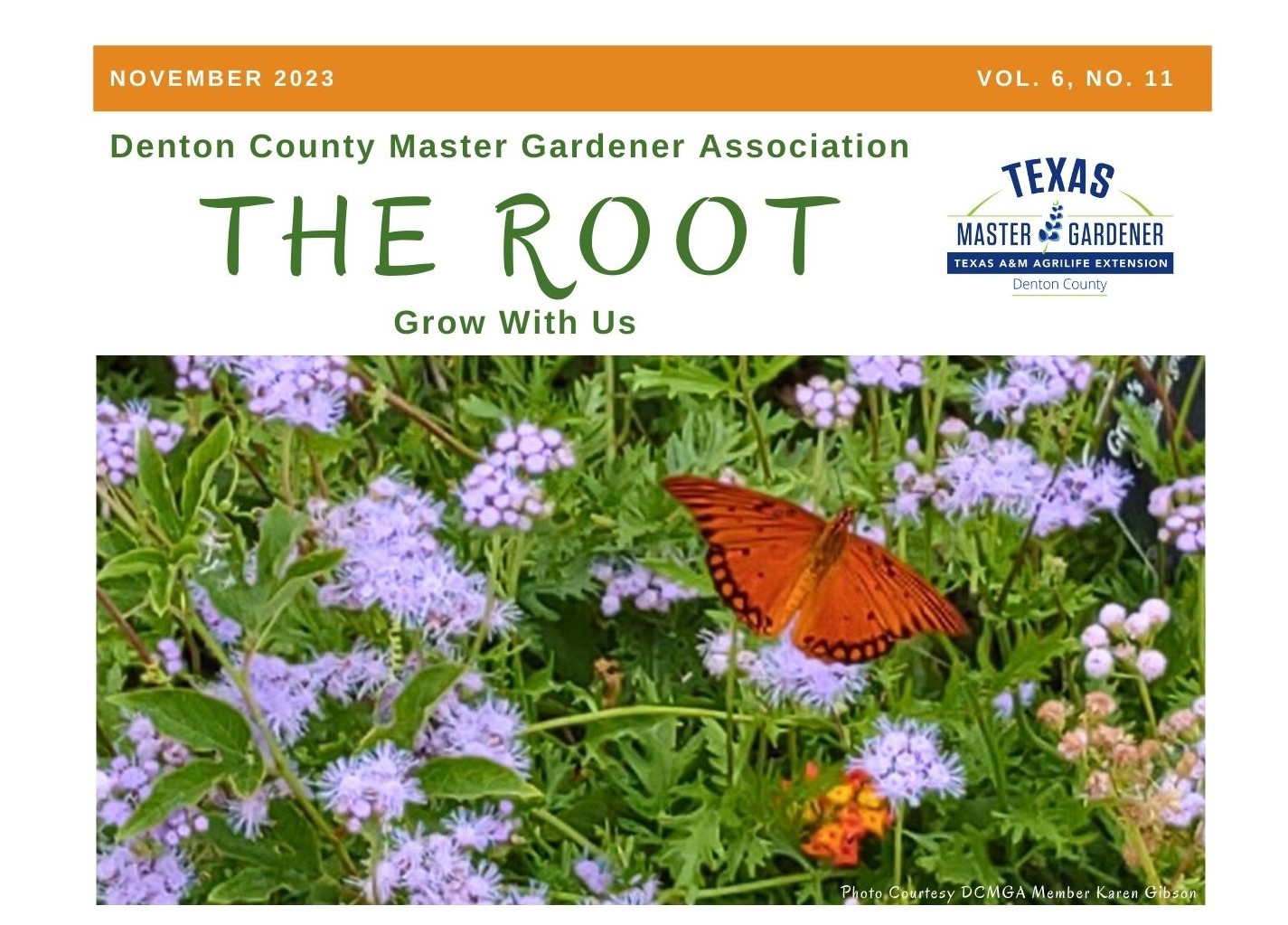 Learn More – Denton County Master Gardener Association